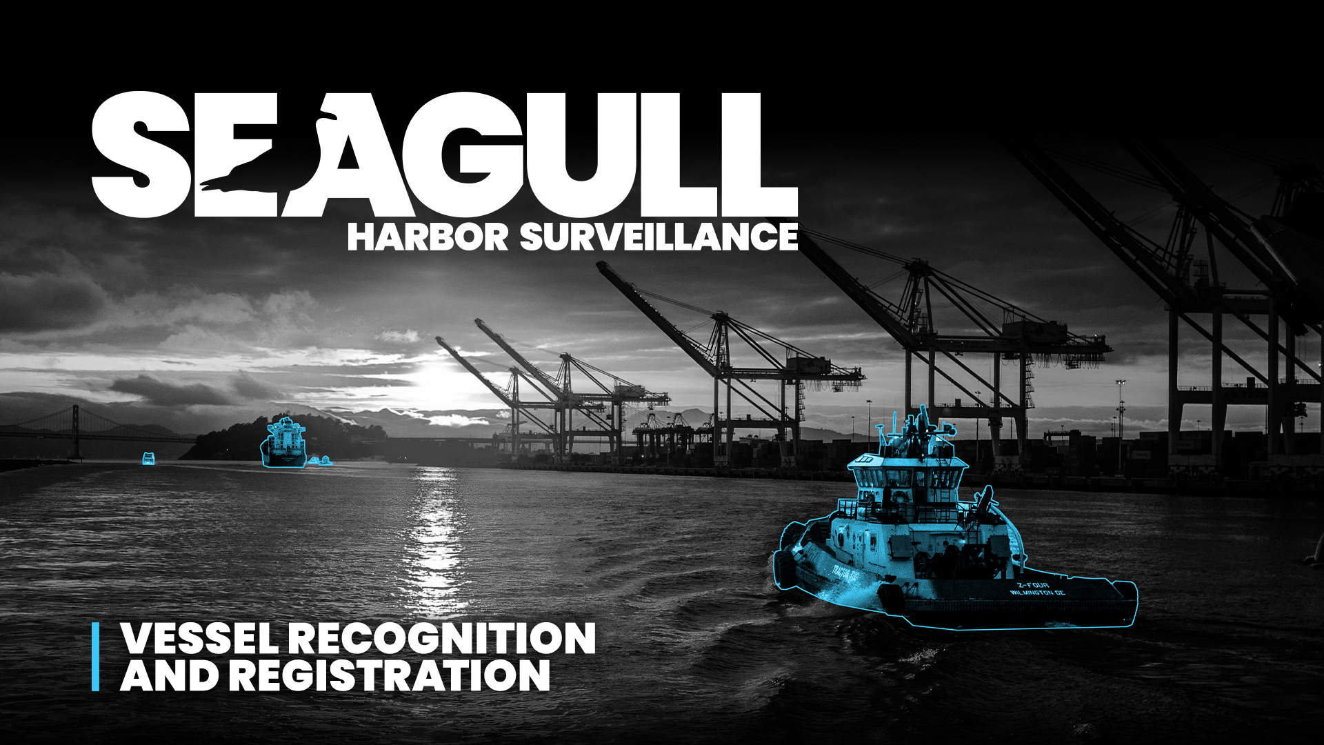 SEAGULL Harbor Surveillance